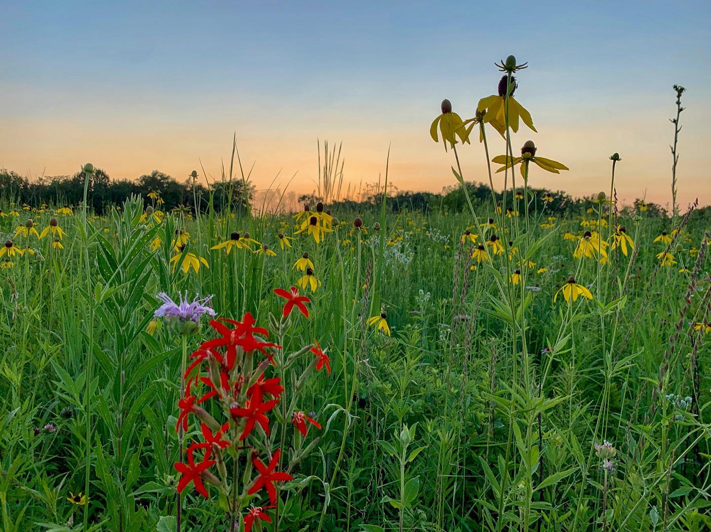 Walk with a Naturalist at Sunset